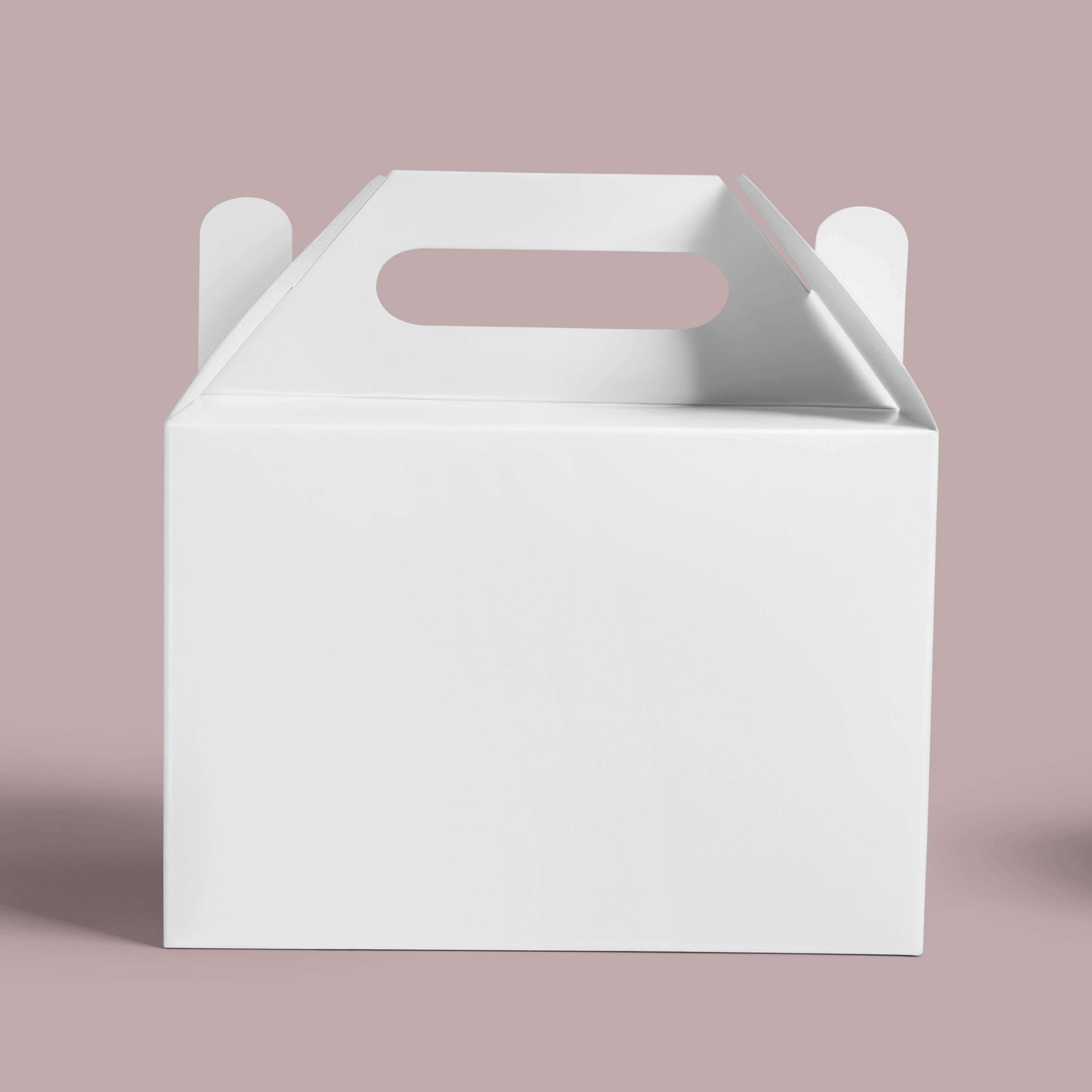 Inverted Corro Gable Box